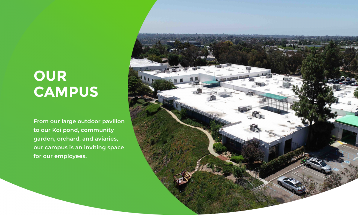 Header-w-text | DeepSea