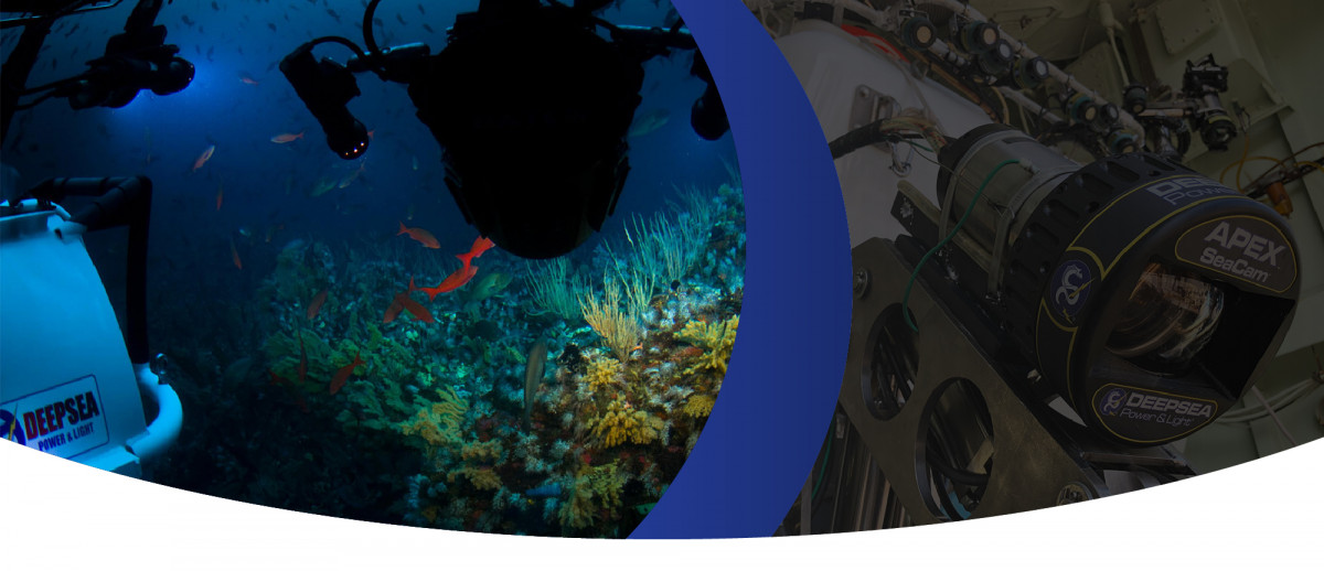 deepsea-header-knowledgebase-100 | DeepSea