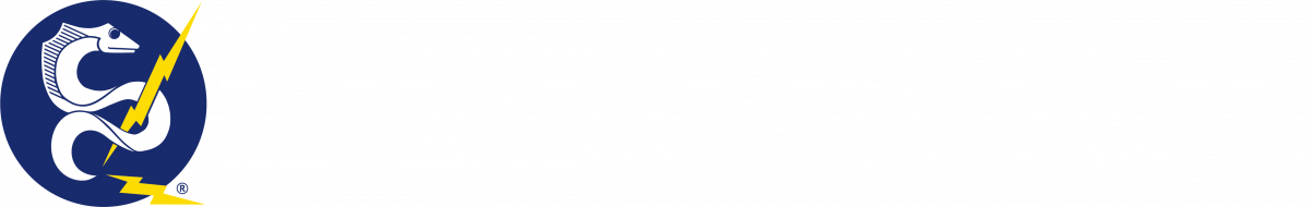 DSPL_logo 2021_white_text | DeepSea