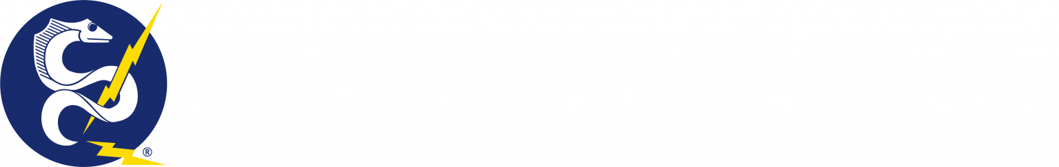 DSPL_logo 2021_white_text | DeepSea