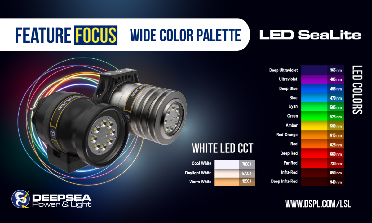 Feature-Focus-LSL-Edited | DeepSea