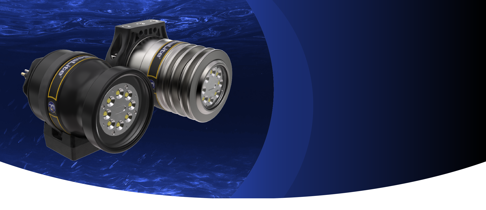 deepsea-header-lsl-1000 | DeepSea