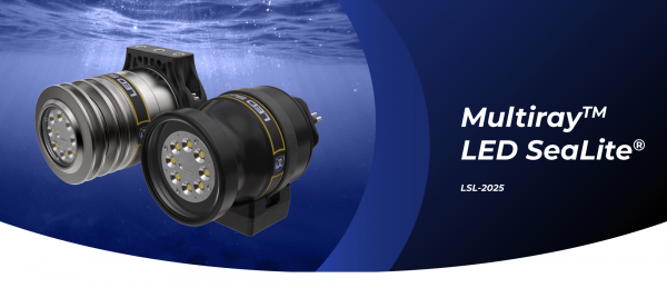 deepsea-header-lsl-2025-tm-8 | DeepSea