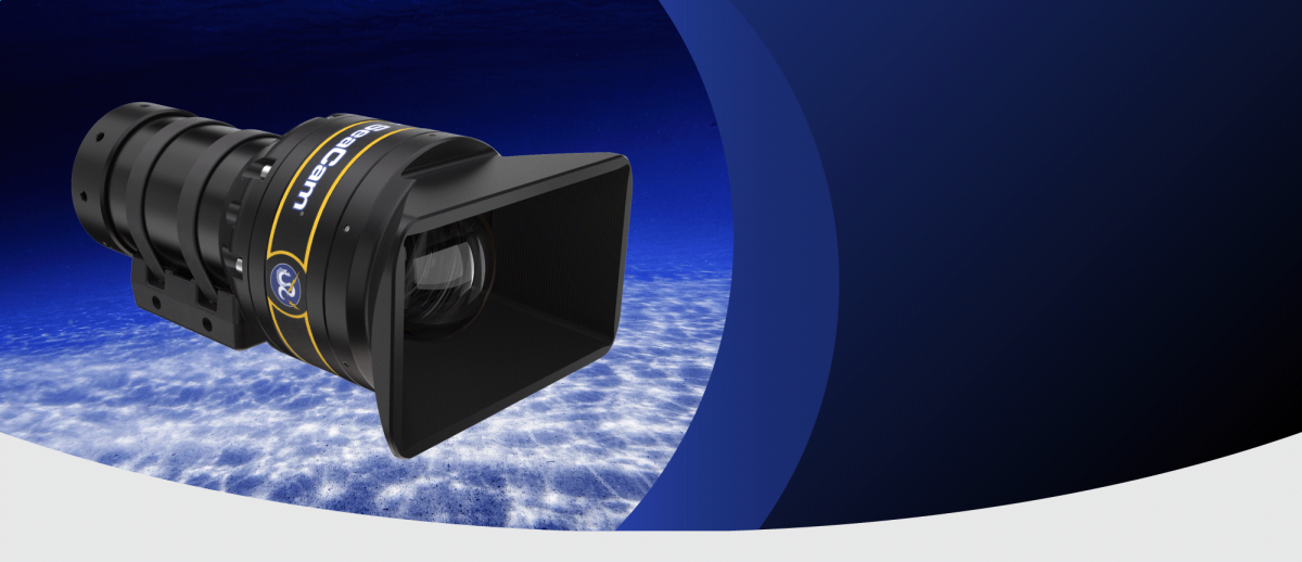 deepsea-header-vertex-seacam-8 | DeepSea