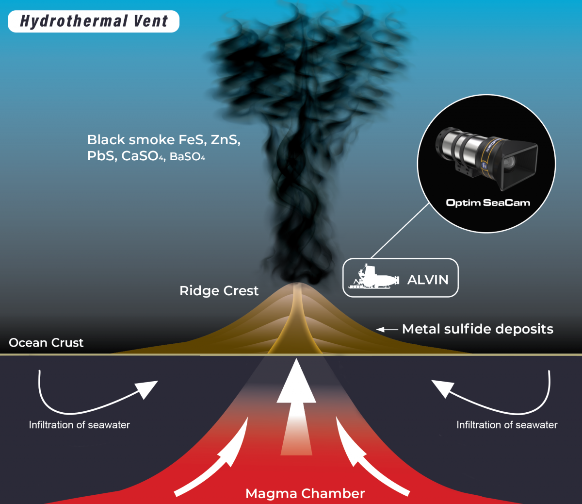 Hydrothermal Vent Discovery in East Pacific Rise | DeepSea