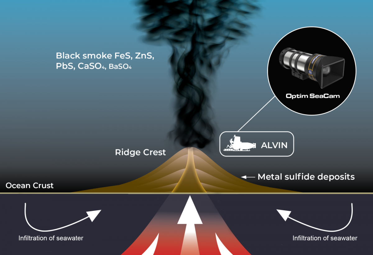 What’s New | DeepSea