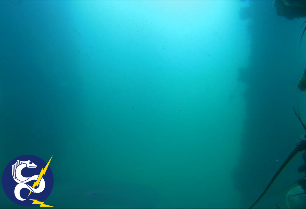 What’s New | DeepSea